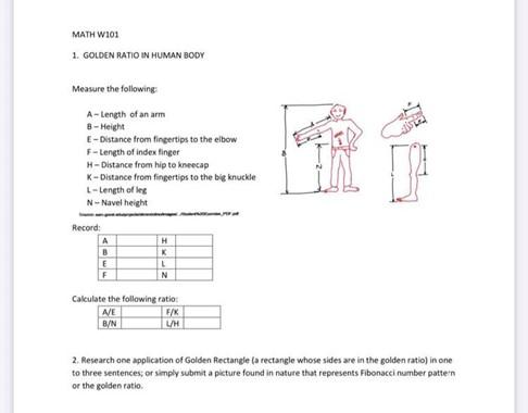 Solved MATH W101 1. GOLDEN RATIO IN HUMAN BODY Measure the | Chegg.com
