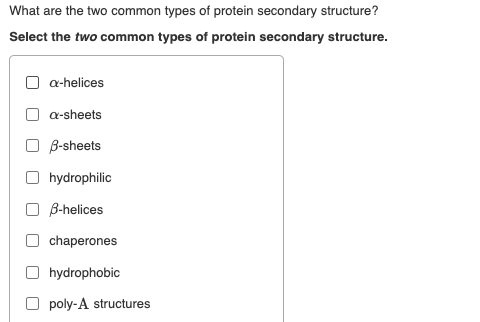 Solved What are the two common types of protein secondary | Chegg.com