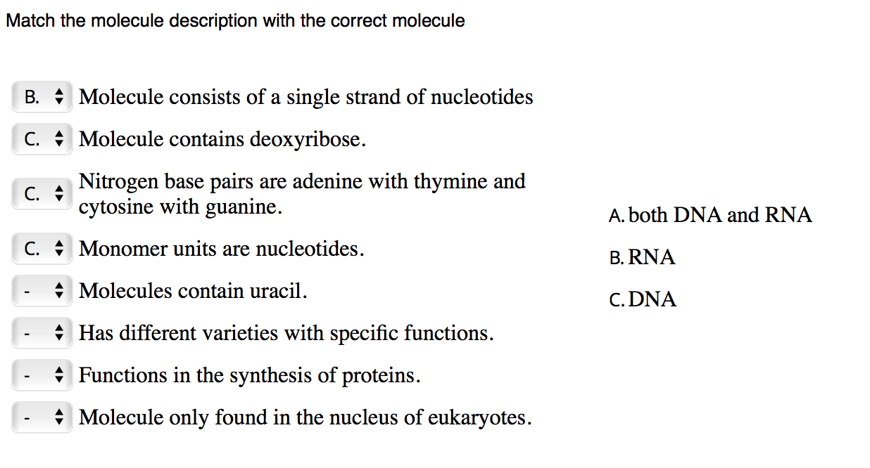 Solved 1. The coding (master) strand of a DNA molecule has | Chegg.com