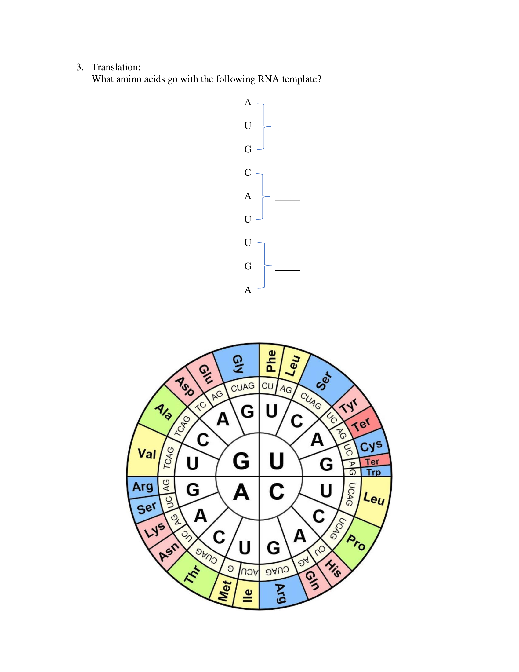 Solved Bio 101 Ch 9 Practice Using the central dogma and | Chegg.com