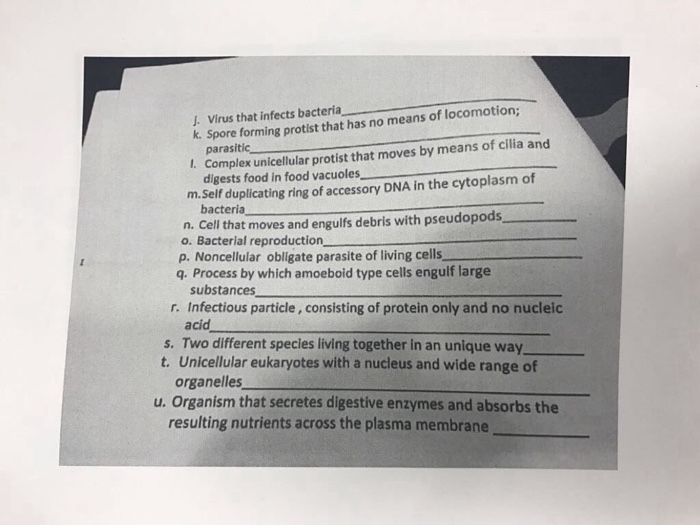 Solved Virus that infects bacteria ____ K. Spore forming | Chegg.com