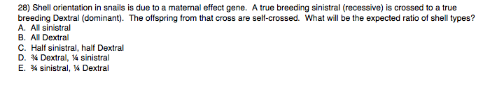 Solved 28) Shell orientation in snails is due to a maternal | Chegg.com