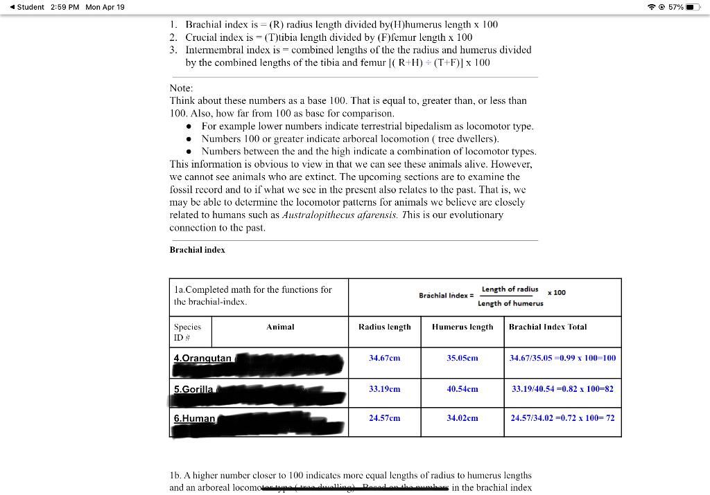 Solved 4. Orangutan 5. Gorilla 6. Human Humerus Radius O | Chegg.com
