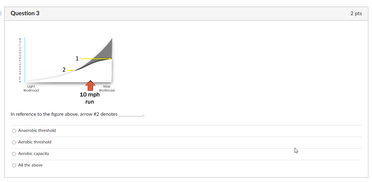 Solved Question 3 ATP NEEDS/PRODUCTION 2 1 Light Max | Chegg.com
