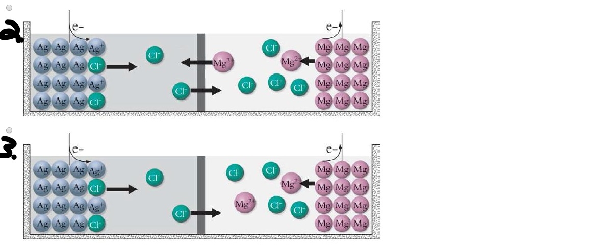 Solved Write the net reaction, include any charges and all | Chegg.com