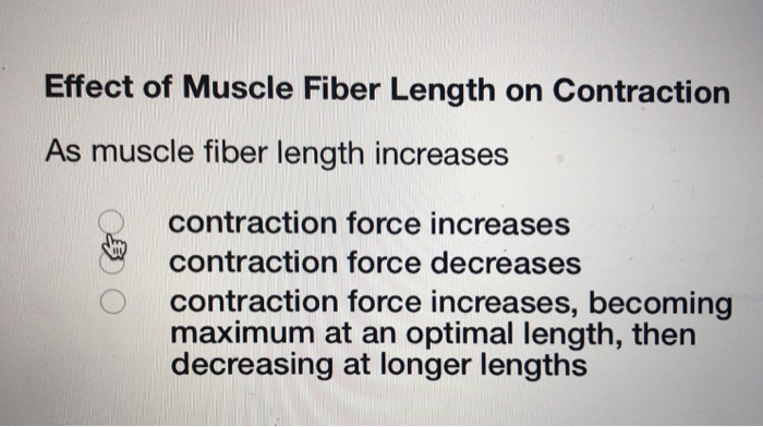 Solved Effect of Muscle Fiber Length on Contraction As | Chegg.com