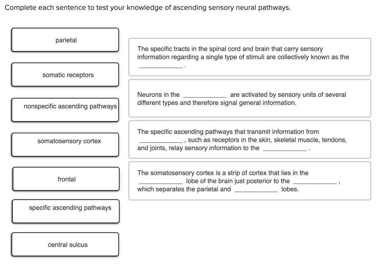 Solved Complete each sentence to test your knowledge of | Chegg.com