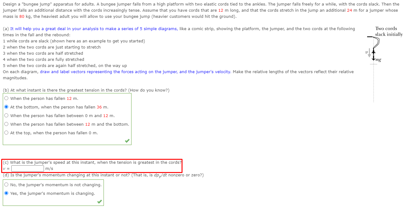 Solved Design a "bungee jump" apparatus for adults. A bungee | Chegg.com
