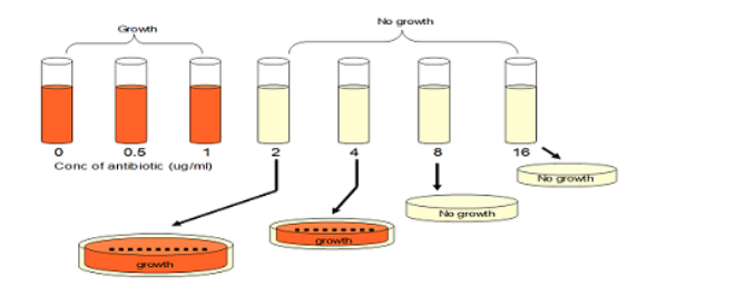 Solved Refer to figure below. Nutrient broth tubes | Chegg.com