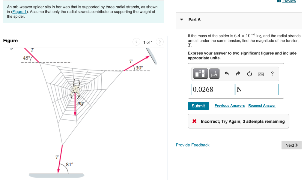 Solved Review An orb-weaver spider sits in her web that is | Chegg.com