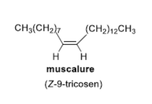 Solved Fill in the missing reagents in the following | Chegg.com