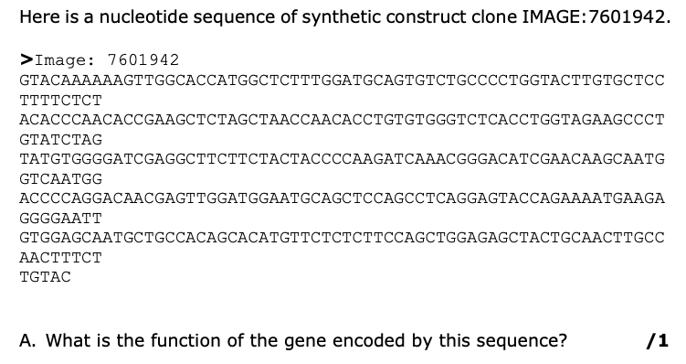 Solved Here is a nucleotide sequence of synthetic construct | Chegg.com