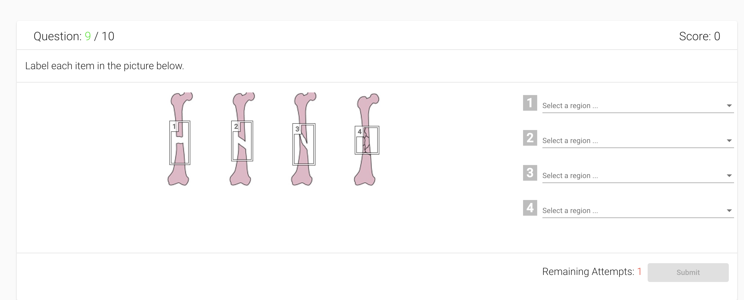 Solved Label each item in the picture below. Select a region | Chegg.com