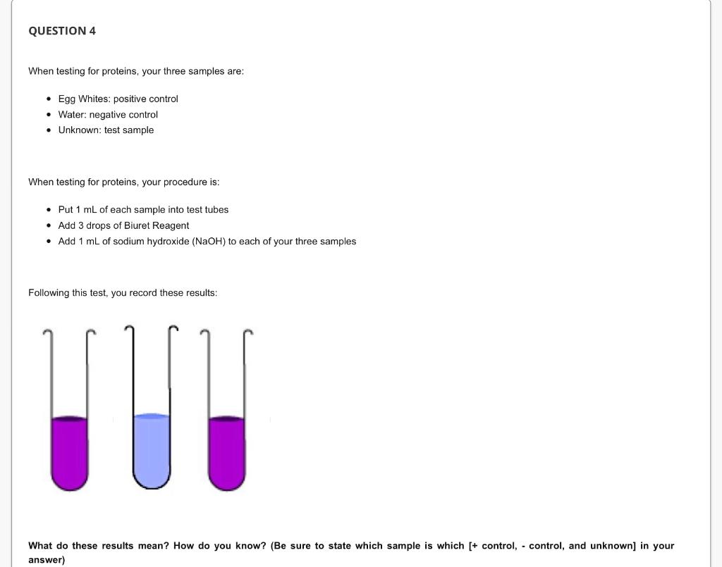 Solved Based off your results, come up with an in depth | Chegg.com