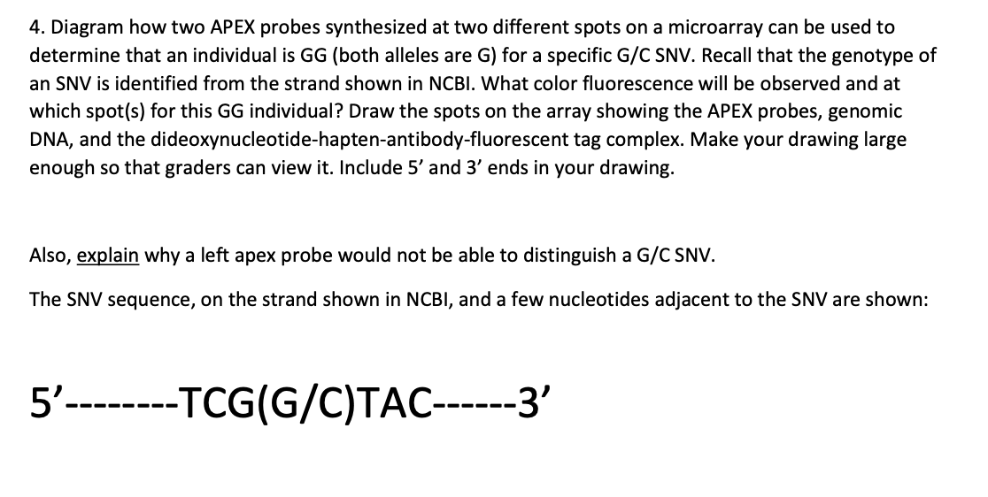 Solved 4. Diagram how two APEX probes synthesized at two | Chegg.com