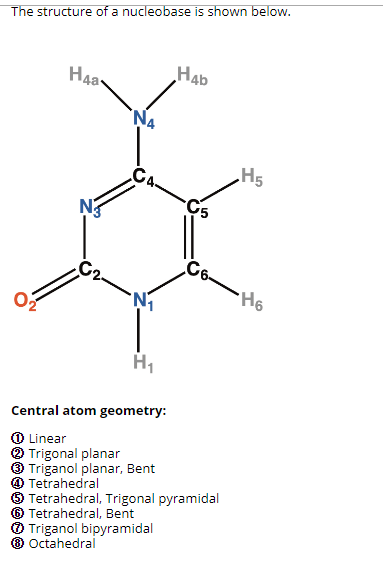 Solved The structure of a nucleobase is shown below. Наа. | Chegg.com