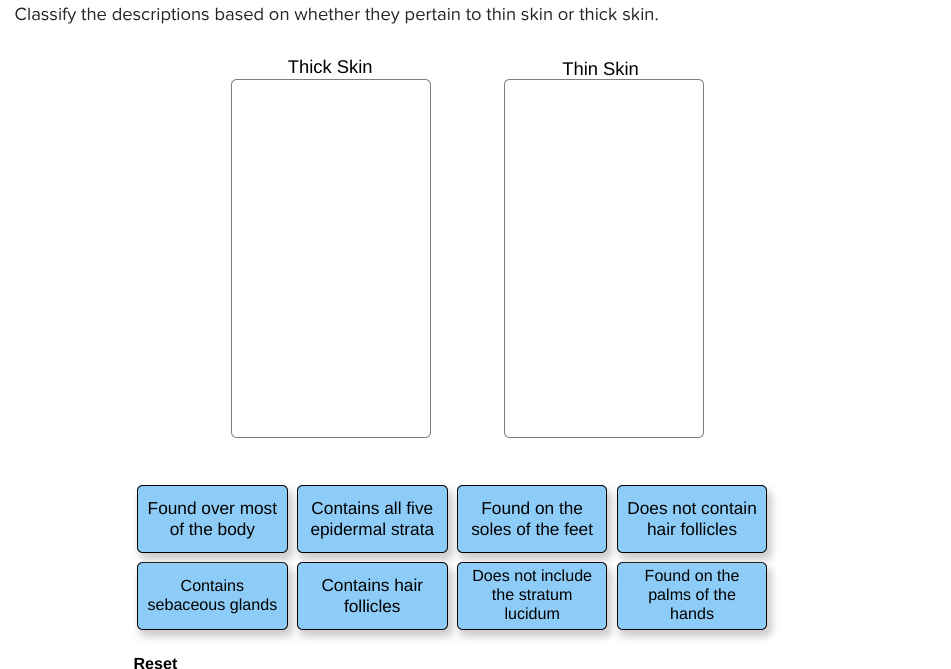 Solved Classify the descriptions based on whether they | Chegg.com