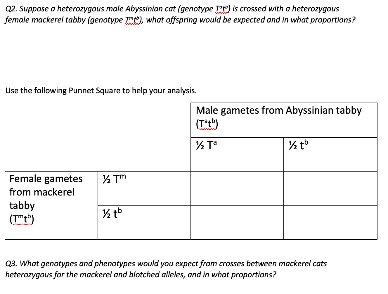 Solved Q2. Suppose a heterozygous male Abyssinian cat | Chegg.com