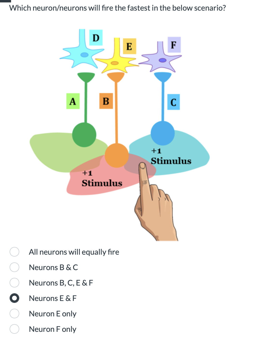 Solved Which neuron/neurons will fire the fastest in the | Chegg.com