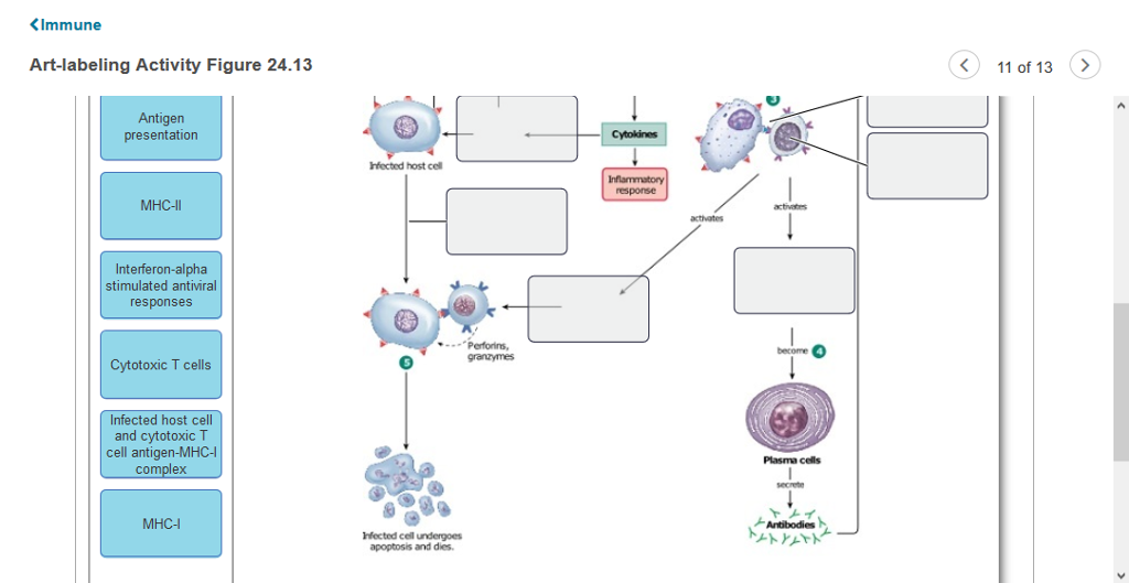 Solved Match all 9 labels to the 9 boxes in the diagram. | Chegg.com