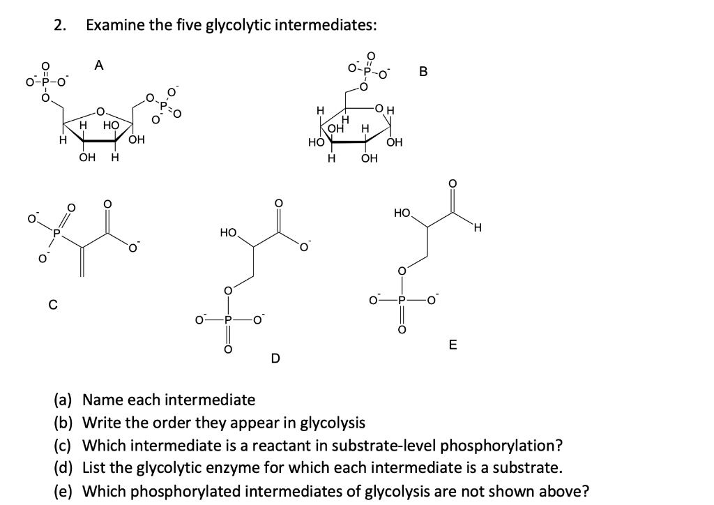 2. Examine the five glycolytic intermediates: C D (a) | Chegg.com