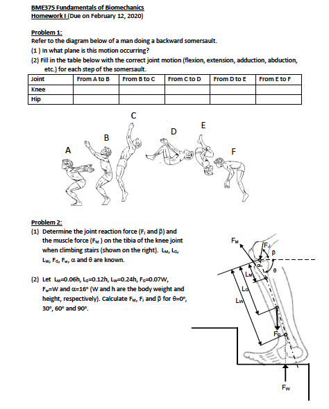 Solved BME375 Fundamentals of Biomechanics Homeworki (Due on | Chegg.com