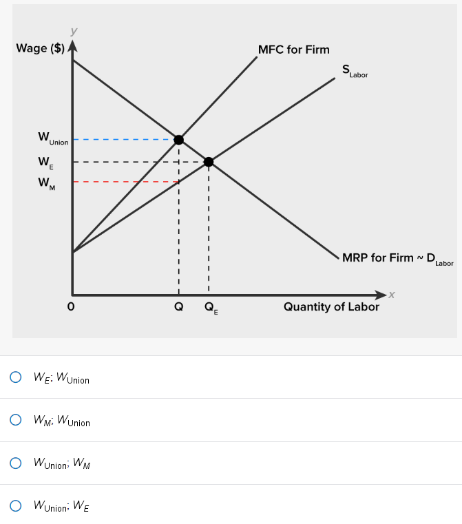 Solved Consider the graph below. If the monopsonist has more | Chegg.com