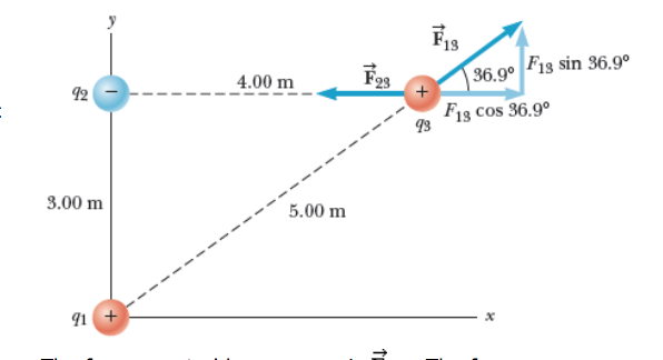 Solved Find the vector components of the electric force on | Chegg.com