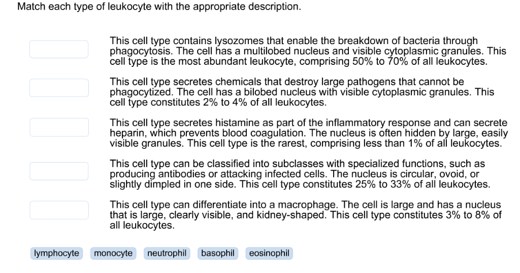 Solved Match each type of leukocyte with the appropriate | Chegg.com