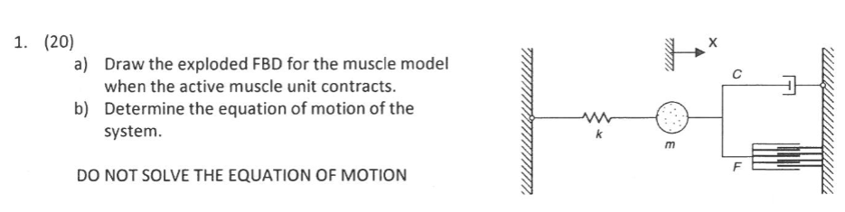 Solved 1. (20) a) Draw the exploded FBD for the muscle model | Chegg.com