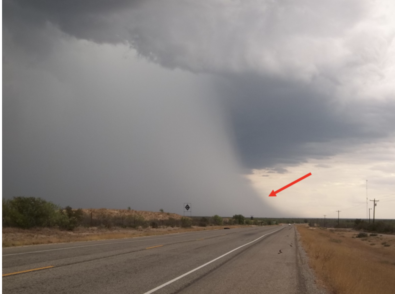 Solved WHAT IS THE RED ARROW? A. Flanking Line B. RAin | Chegg.com