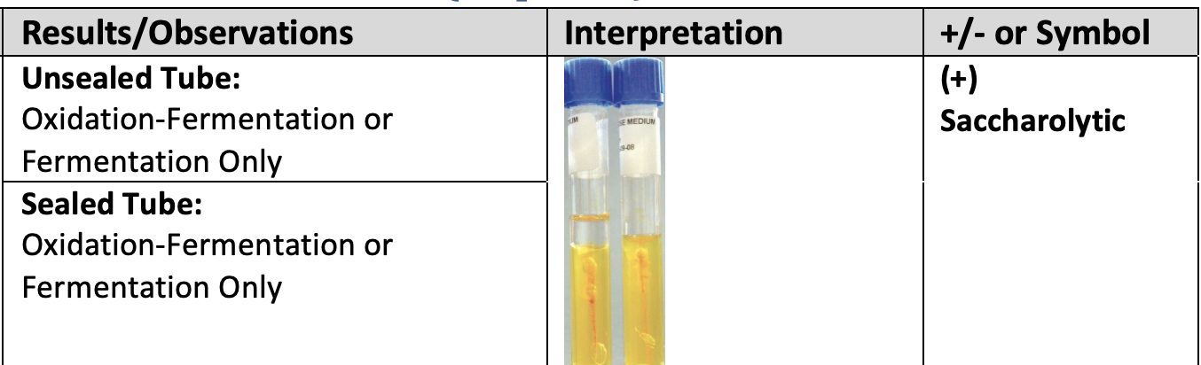 Solved based on the OF test results, are these a Facultative | Chegg.com