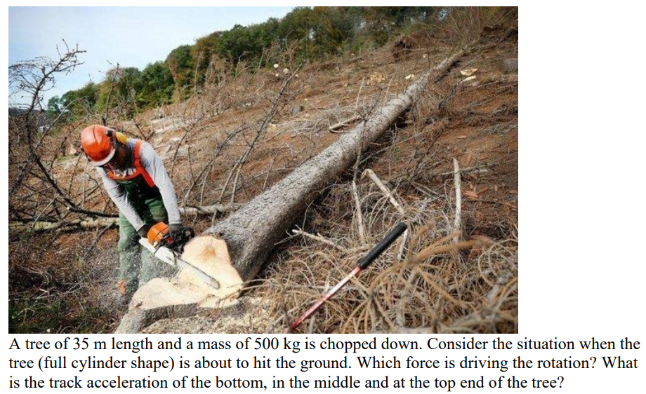 Solved A tree of 35 m length and a mass of 500 kg is chopped | Chegg.com