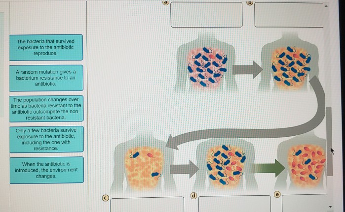 Solved conjugation binary fission transduction 1. The | Chegg.com