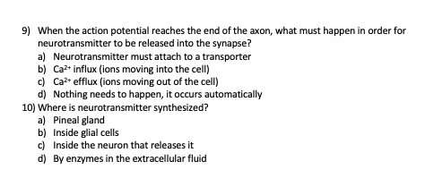 Solved 5) In the following diagram, where the yellow neuron | Chegg.com