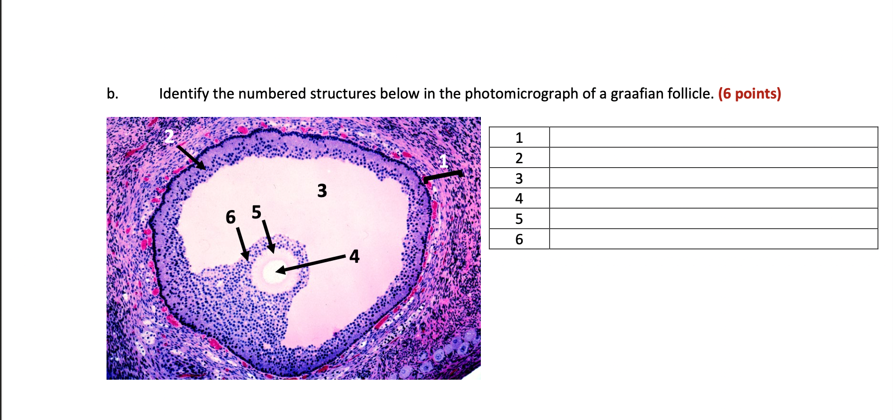 Solved b. Identify the numbered structures below in the | Chegg.com