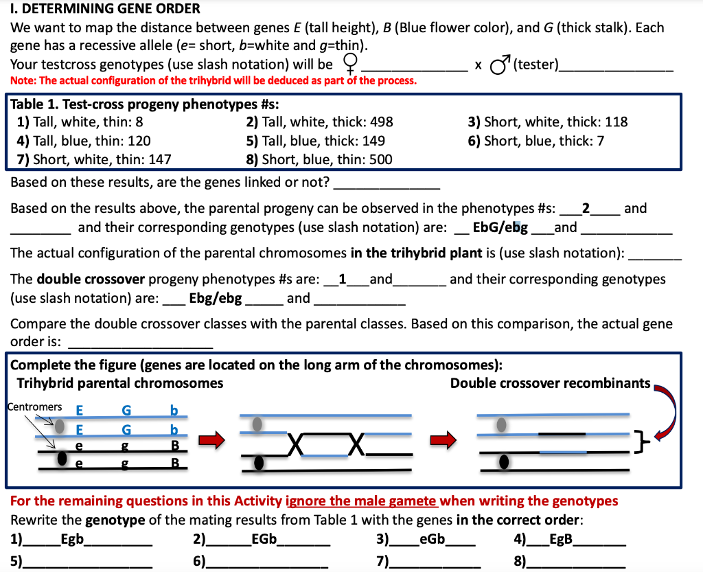 Solved I. DETERMINING GENE ORDER We want to map the distance | Chegg.com