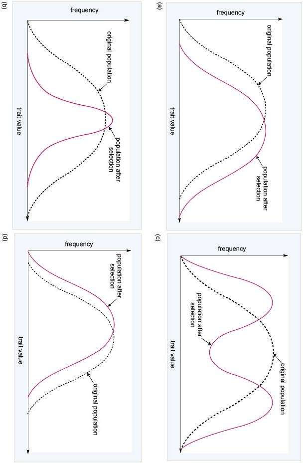 Solved Figure 1 is an illustration of the change in the | Chegg.com