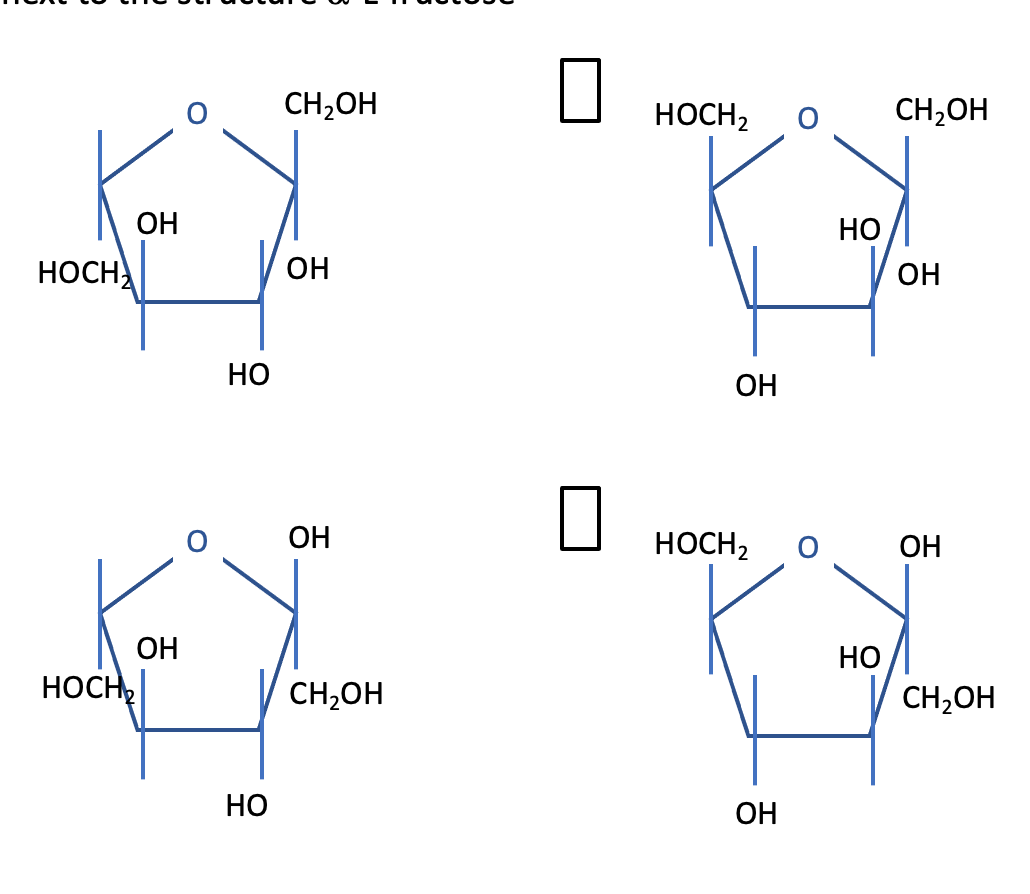 Solved Which one is b-D glucose and which one is a-L glucose | Chegg.com