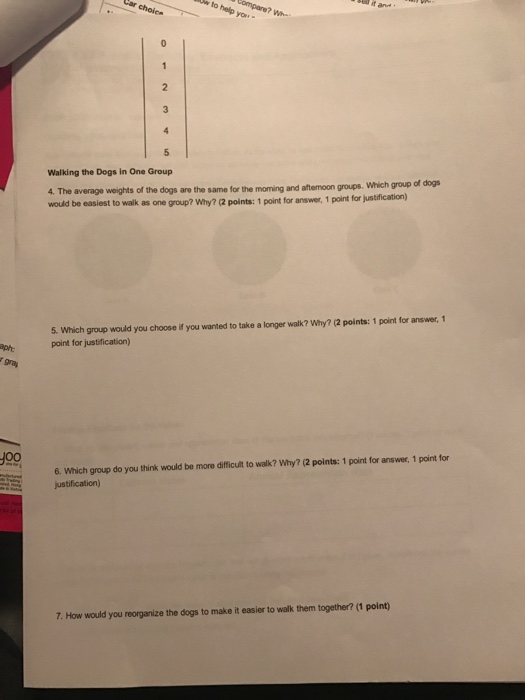Solved owth Linear and Exponential Practice Assignment | Chegg.com