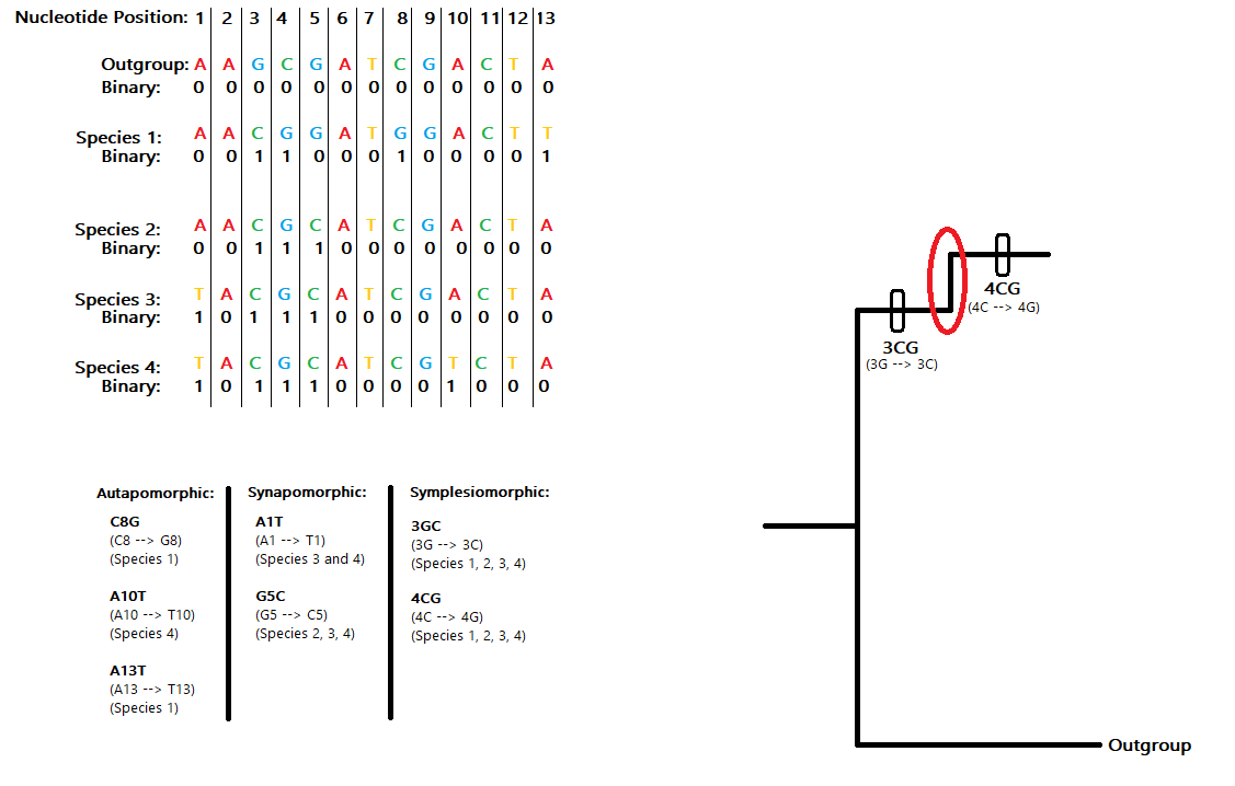 Solved Hello! I am working on this longer question that | Chegg.com