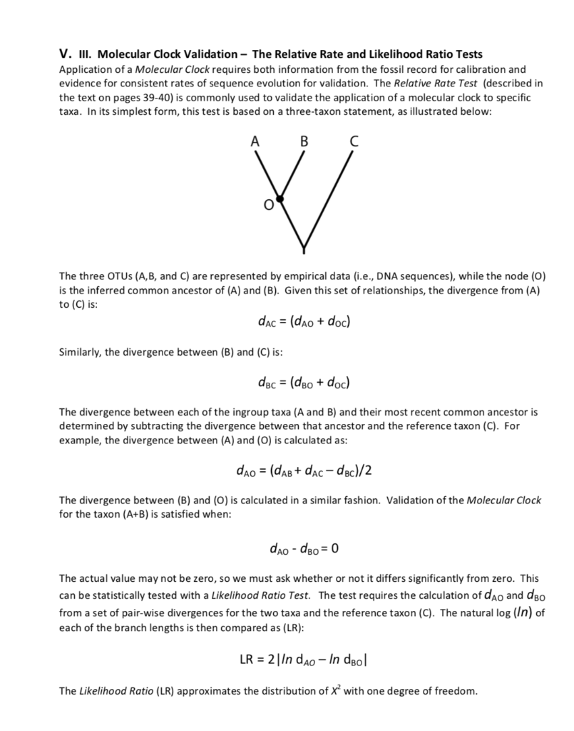V. III. Molecular Clock Validation The Relative Rate | Chegg.com