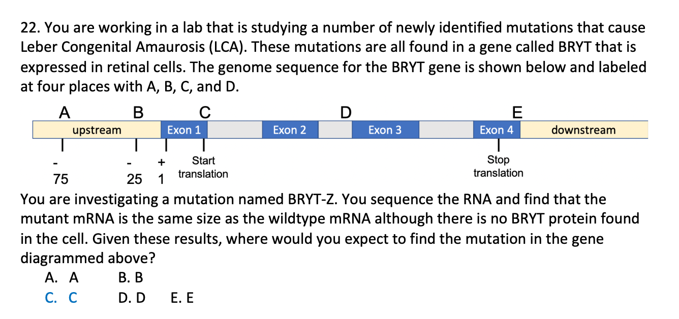 Solved Please explain why "C" is the correct answer. I don't | Chegg.com