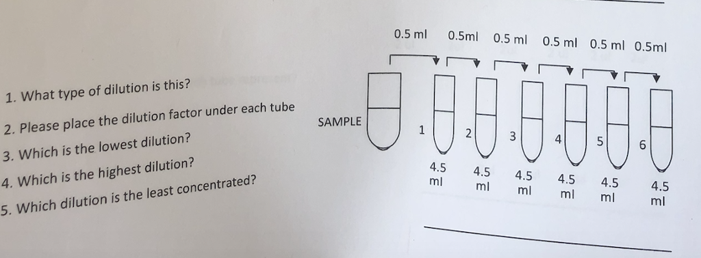 Solved 0.5 ml 0.5ml 0.5 ml 0.5 ml 0.5 ml 0.5ml 1. What type | Chegg.com