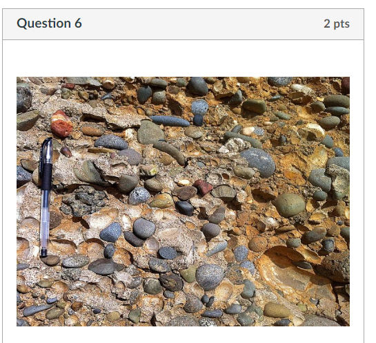 Solved Question 4 2 Pts Question 5 Question 4 2 1468