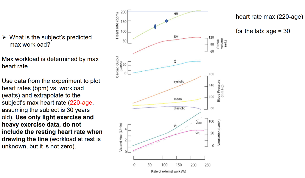 Solved 200 HR heart rate max (220-age) 150 Heart rate (bpm) | Chegg.com