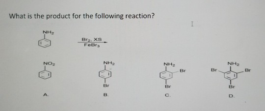 Solved What is the product for the following reaction? NH2 | Chegg.com