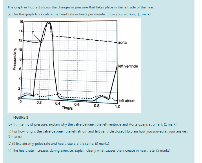 Solved The graph in Figure 1 shows the changes in pressure | Chegg.com