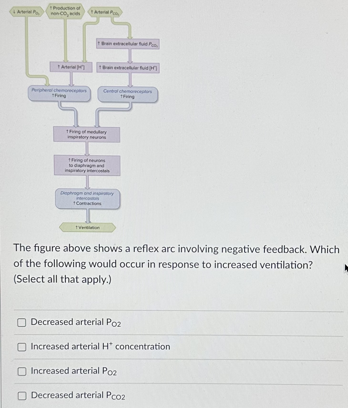 The figure above shows a reflex arc involving | Chegg.com