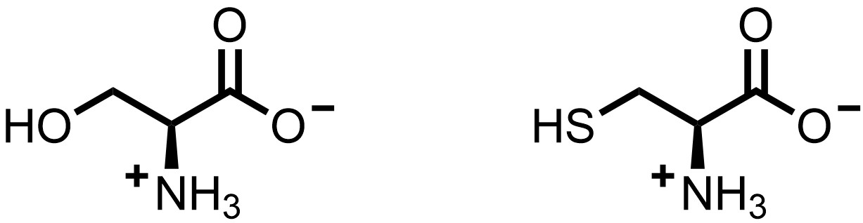Solved Which of the following is the correct absolute | Chegg.com